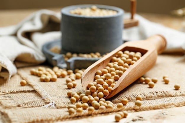 Saiba quais são os 10 produtos mais exportados pelo Brasil